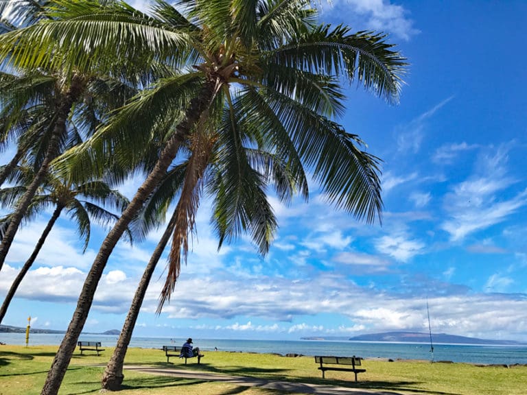 8 Reasons Why You Should Stay in Kihei - All About Maui Blog