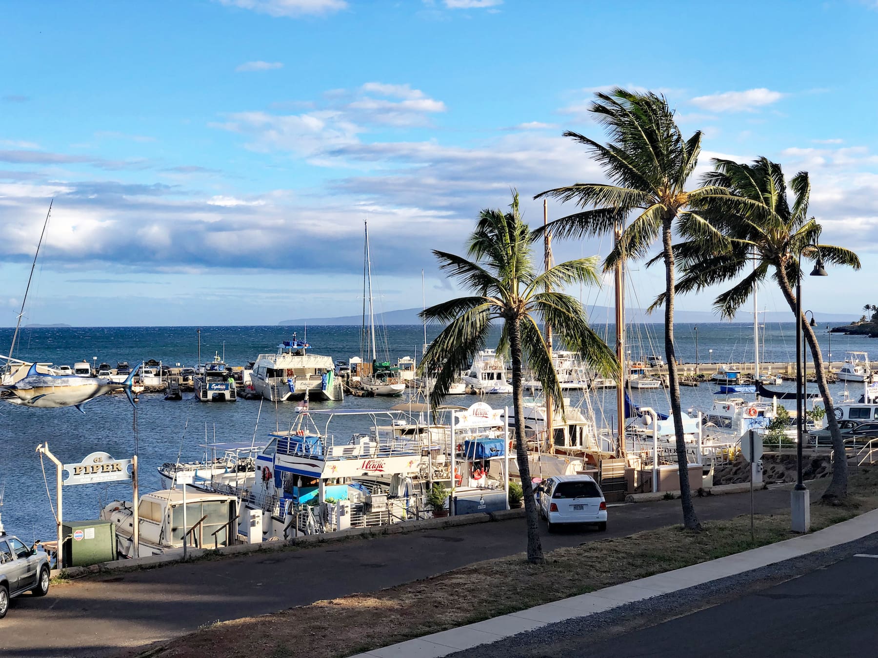 8 Reasons Why You Should Stay In Maalaea - All About Maui Blog