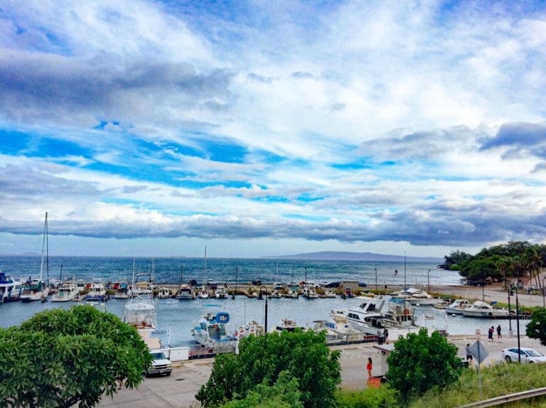 8 Reasons Why You Should Stay In Maalaea - All About Maui Blog