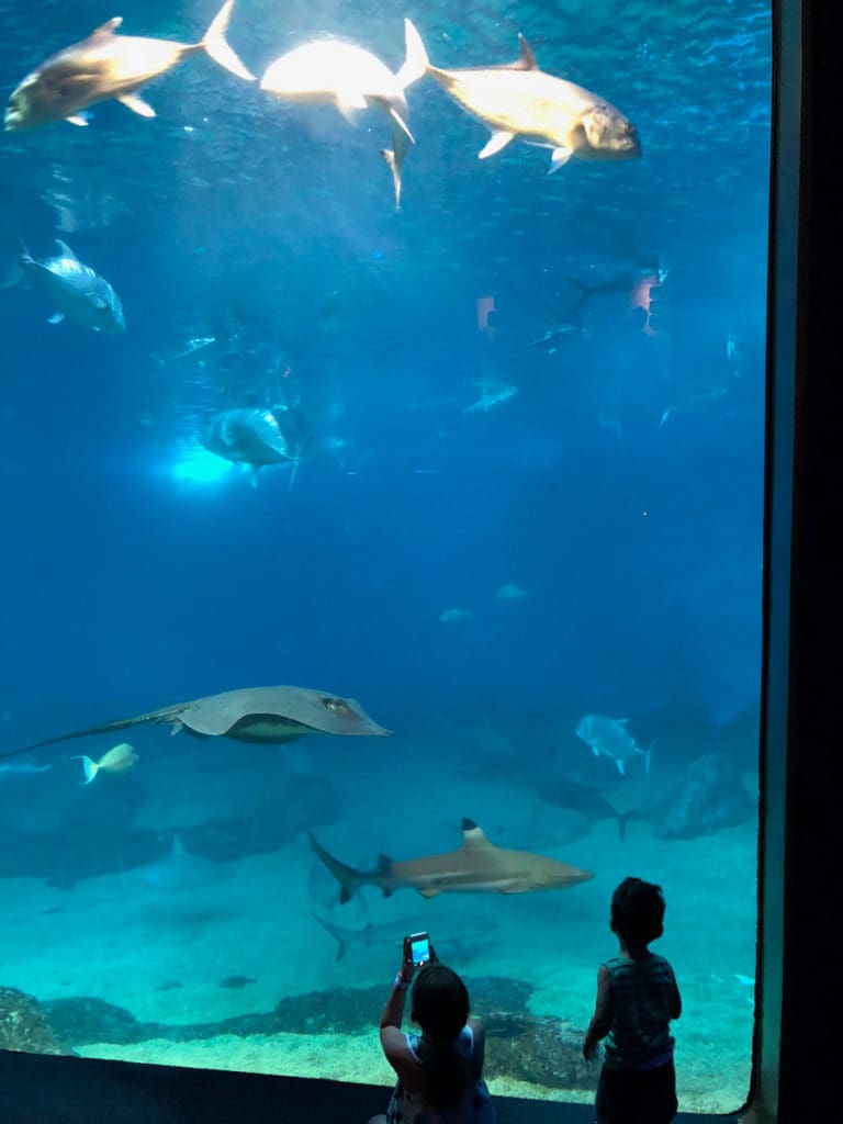 8 Reasons Why You Should Stay In Maalaea - All About Maui Blog