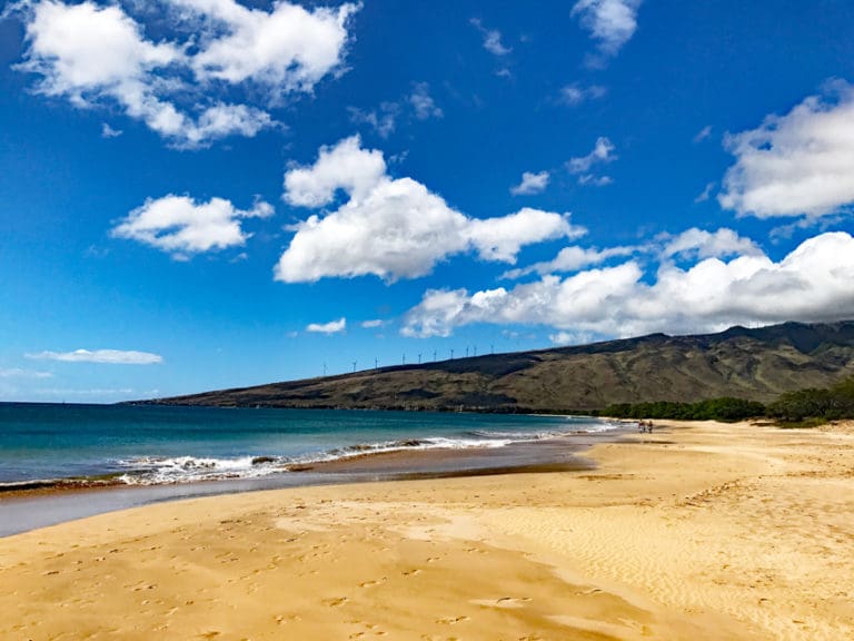 8 Reasons Why You Should Stay In Maalaea - All About Maui Blog