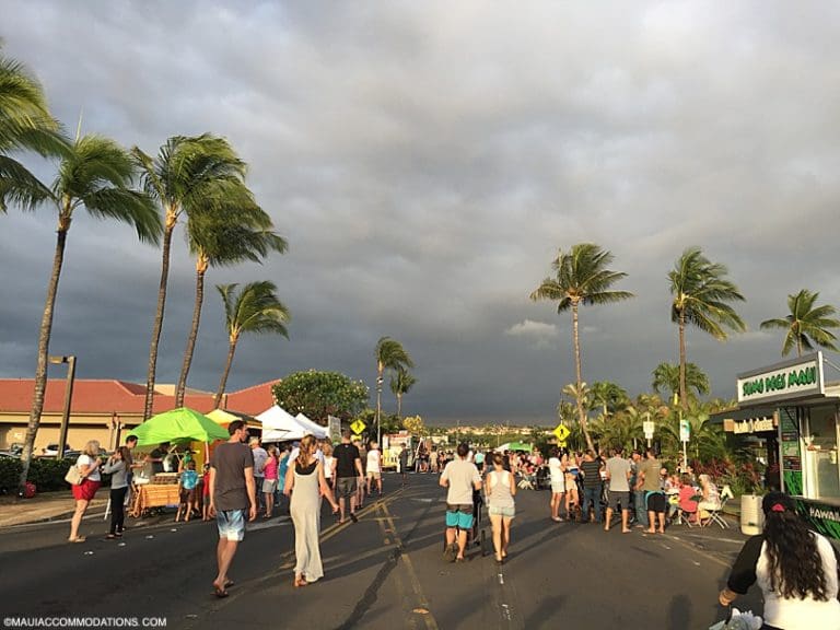 Things to Do on Maui in Winter | All About Maui Travel Blog