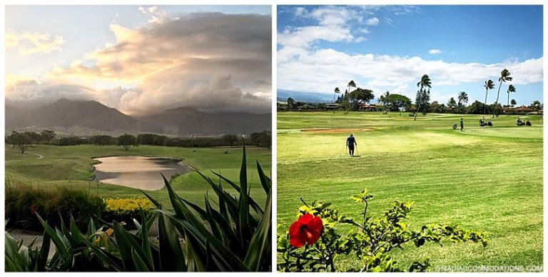 Things to Do on Maui in Winter | All About Maui Travel Blog