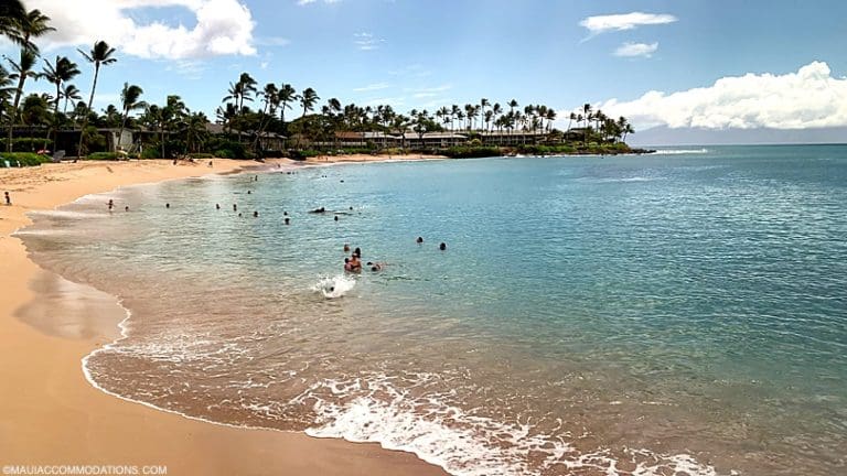 25 Free Things To Do In Maui - ALL ABOUT MAUI Travel Tips