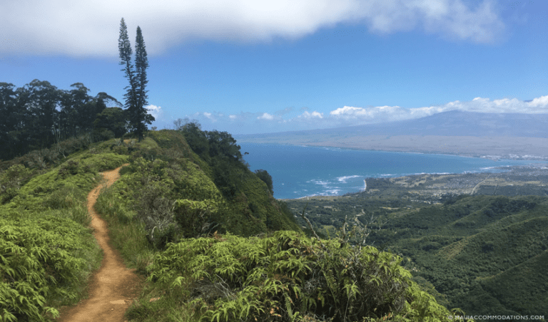 Is Maui Safe? Maui Vacation Safety Tips | All About Maui Travel Blog