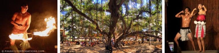 Things To Do on Maui in Fall | All About Maui Travel Blog