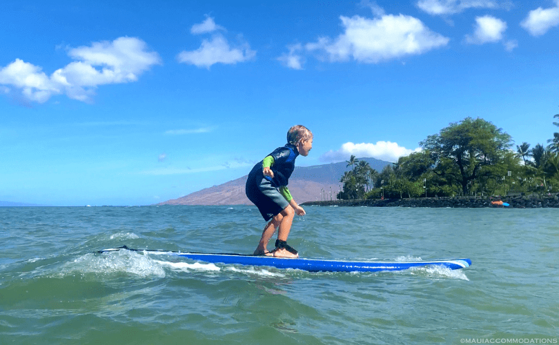 Hawaiian Words and Phrases | ALL ABOUT MAUI Travel Tips