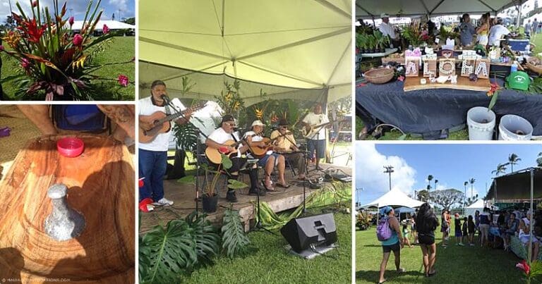 Things To Do on Maui in Fall | All About Maui Travel Blog