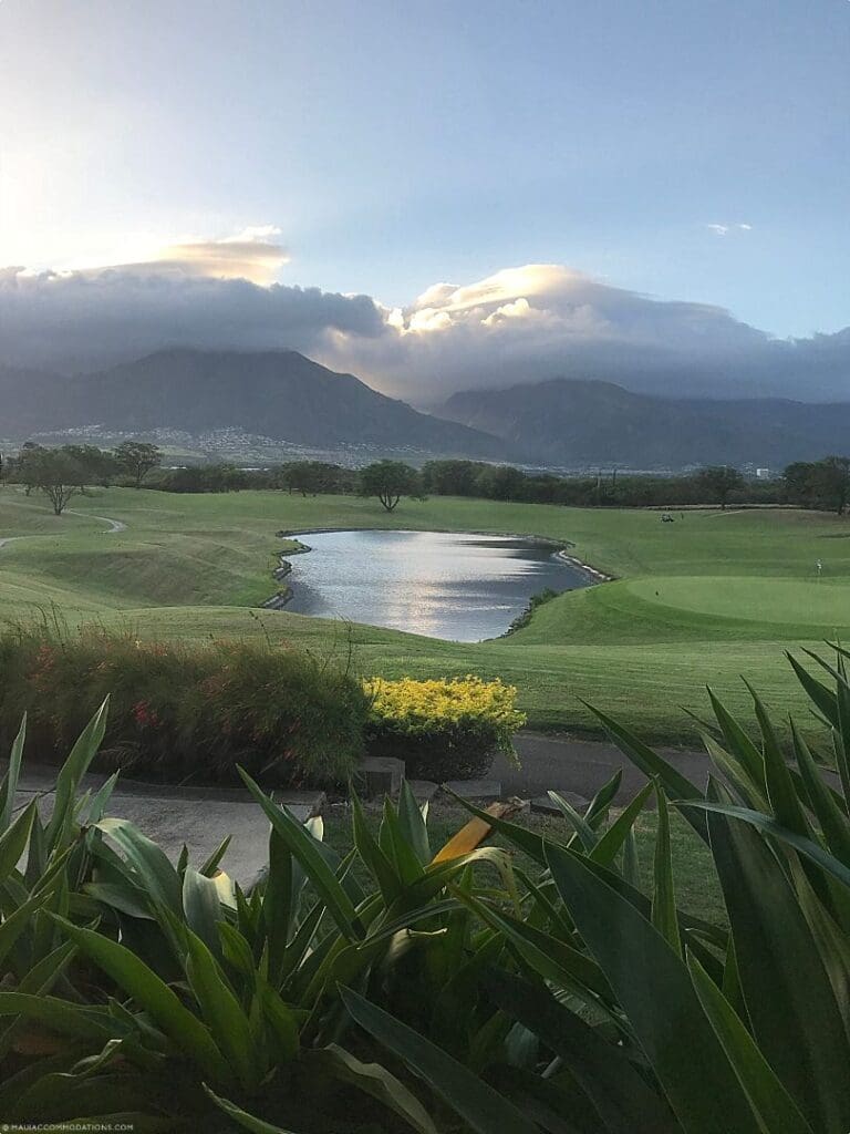 Top 10 Restaurants in Central Maui - Maui Accommodations Guide