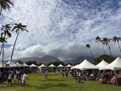 Things to Do on Maui in Winter | All About Maui Travel Blog