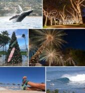 Things to Do on Maui in Winter | All About Maui Travel Blog