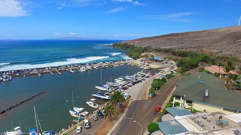 Things to Do on Maui in Winter | All About Maui Travel Blog