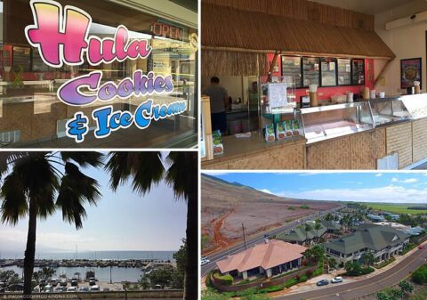 Maui Family Businesses You Should Support - Maui Accommodations Guide