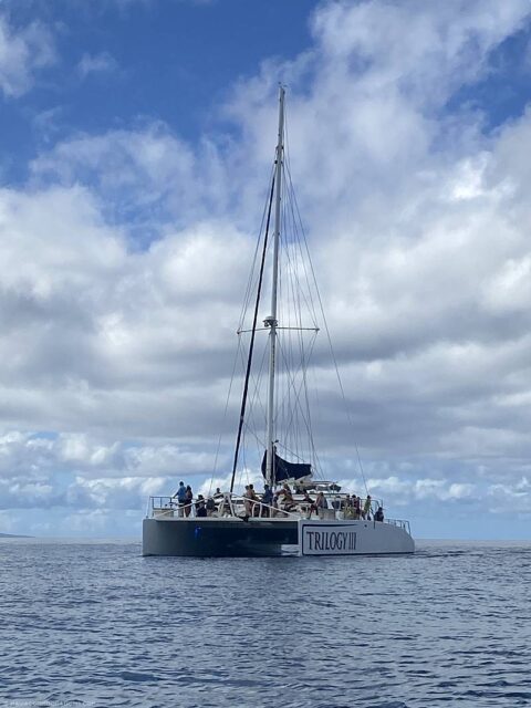 Maui Family Businesses You Should Support - Maui Accommodations Guide