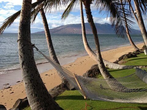 Do You Need a Car on Maui? A Traveler’s Guide to Getting Around - Maui ...